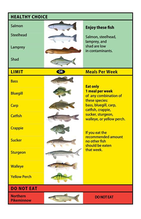 Fish Mercury Levels List