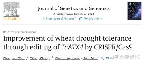 西北农林科技大学康振生毛虎德团队利用crisprcas9技术创制抗旱小麦新材料 知乎
