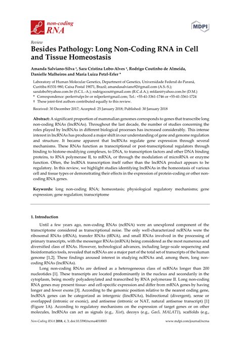 Pdf Besides Pathology Long Non Coding Rna In Cell And Tissue Homeostasis