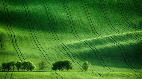 Green Grass Field Field Sky Clouds Hd Wallpaper Wallp