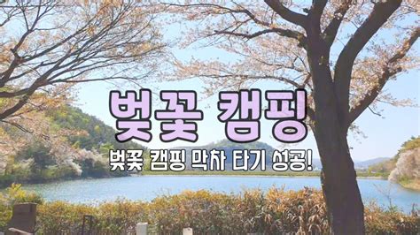 벚꽃 막차 탄 유튜버 나야나│문수골힐링캠핑장│호수존 D 10 Youtube