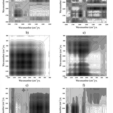 Two Dimensional Ftir Correlation Analysis In The 1800 800 Cm 1 ×