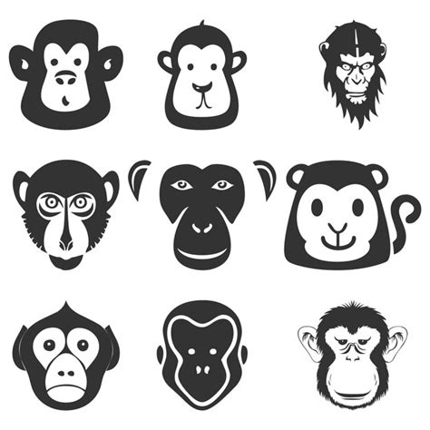 Conjunto Vectorial De Mono Y Su Silueta Vector Premium