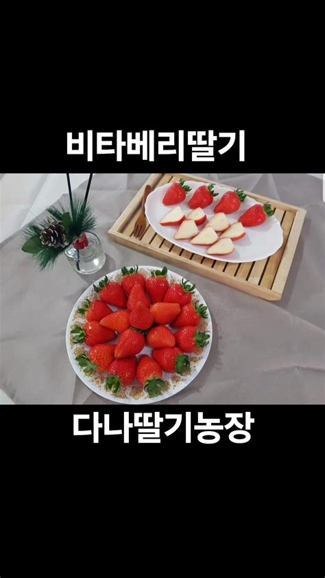 이종천 다나딸기농장 안녕하세요 다나딸기농장 입니다 24~25년 딸기 시즌 동안 저희 딸기를 사랑해주시고 함께해주신 모든 고객님께 진심으로 감사드립니다 택배