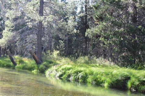 Views From The Famed Donner Pass State Park In California Near Lake