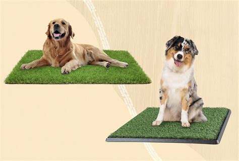 The 7 Best Artificial Grass For Dogs Of 2024 Widepets