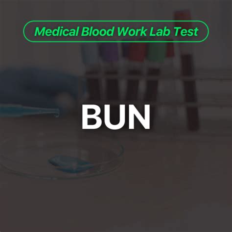 Bun Blood Work Lab Test Wittmer Rejuvenation Clinic