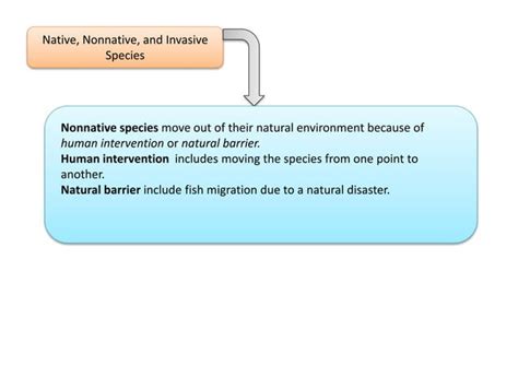 Interactions And Interdependence Pptx
