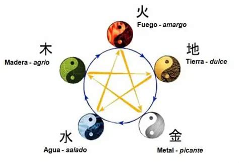 ¿qué Tienen El Yin Y El Yang Que Ver Con La Salud Y La Comida