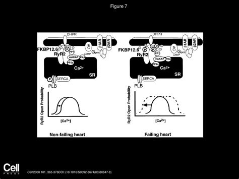 Volume 101 Issue 4 Pages May 2000 Ppt Download