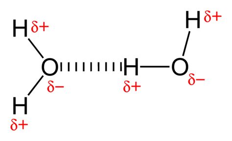 Intermolecular Forces Boundless Chemistry