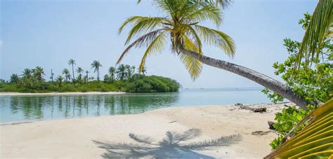 11 Best San Blas Island Tours In Panama Discover Paradise