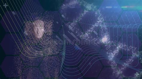 Animation Of Digital Cloud Over Server Room Stock Footage Video Of