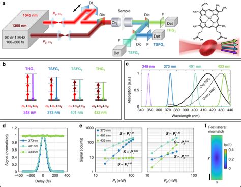 彩色三阶和频显微技术对红细胞和氧合的无标记成像 Light Science Applications X MOL