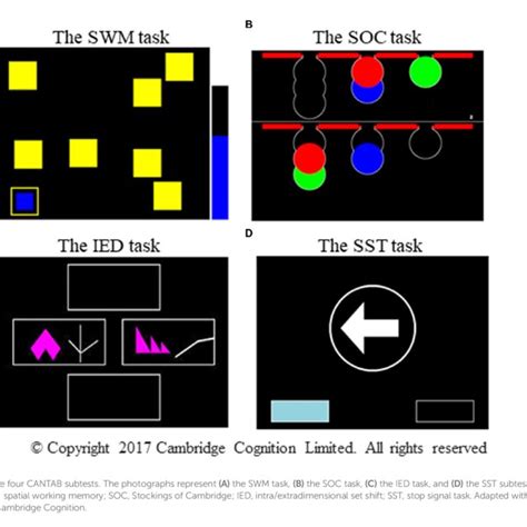 Standardized Effects Direct Indirect And Total Download Scientific Diagram