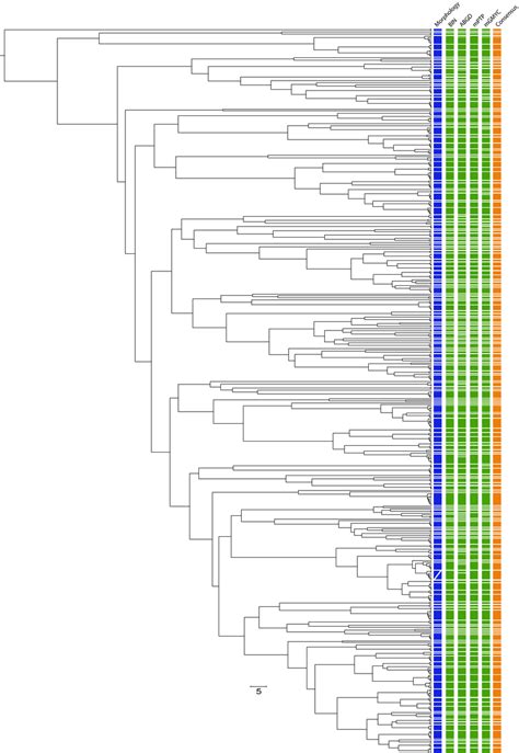 Bayesian Chronogram For The 676 Dna Barcodes Obtained Based On A 1 2