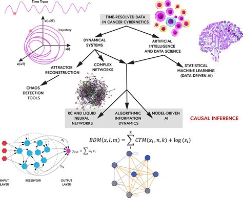 Frontiers A Review Of Mathematical And Computational Methods In