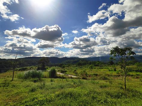 Grassland Sunny Day Clouds Free Photo On Pixabay Pixabay
