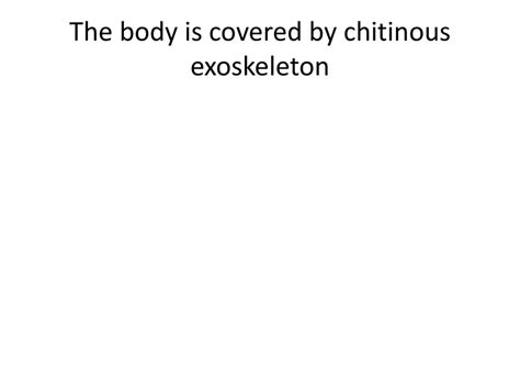 Class Onycophora Eg Peripatus Ppt Download