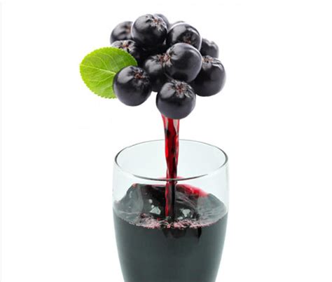 당뇨 전단계 환자 매일 아로니아 주스 마시면⋯혈관 건강·근육 유지에 효과적