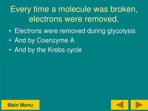 Ppt Metabolism Part 2 Krebs Cycle Powerpoint Presentation Free Download Id 6758191