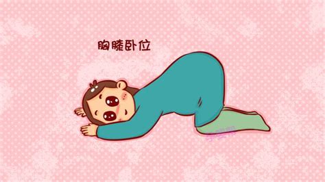 怀孕八个月横位胎位图膝胸卧位纠正胎位图 伤感说说吧