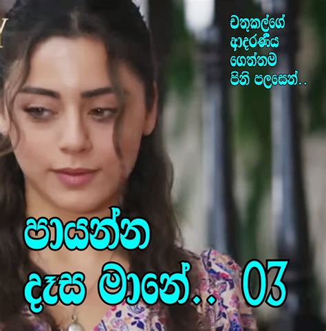 පිනි පලස පායන්න දෑස මානේ 03 🪻 නිහාල් නිහාල් කේන් කෑගැහුවේ උදේ 9 30 වෙලත් තමන්ව නැගිට්ට