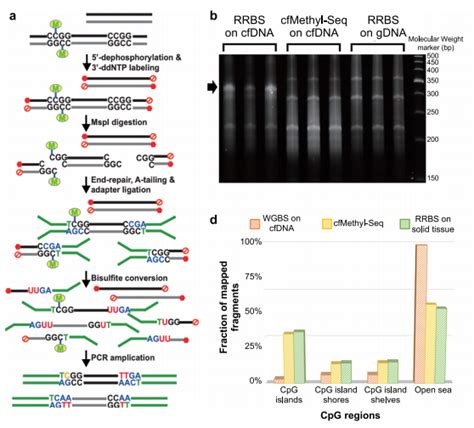 Nature子刊！低成本cfdna甲基化组测序泛癌检测 知乎