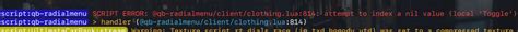 BUG Clothing Lua Error Issue 117 Qbcore Framework Qb Radialmenu