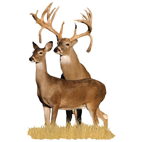 Double Drop Tine Buck With Doe Cutout Mossy Oak Graphics