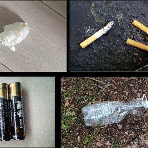 Sample Self Built Garbage Dataset Download Scientific Diagram