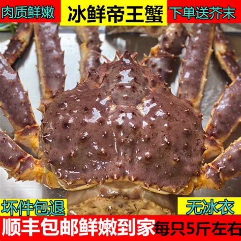 帝王虾图片多少钱一斤帝王虾图片 伤感说说吧