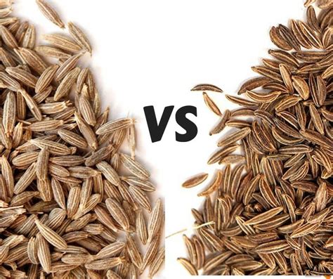 What Is The Difference Between Caraway Vs Cumin Seeds Use The Right