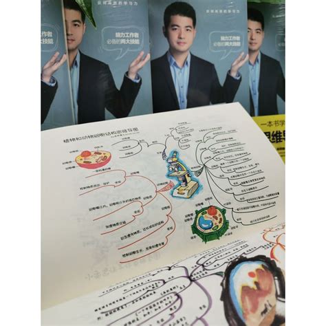 一本书学会超级记忆术和思维导图吴帝德编励志社科新华书店正版图书籍机械工业出版社虎窝淘