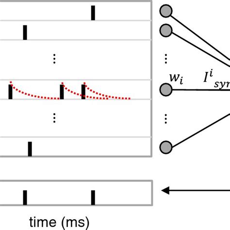 Lif Neuron Model Vertical Bars Represent Spikes And Dashed Curves