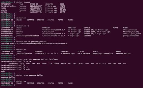 🚀 My Devops Journey Chapter 2 Docker The Devops Essential Milan Ranpara Posted On The