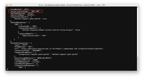 为amazon Api Gateway启用iam身份验证