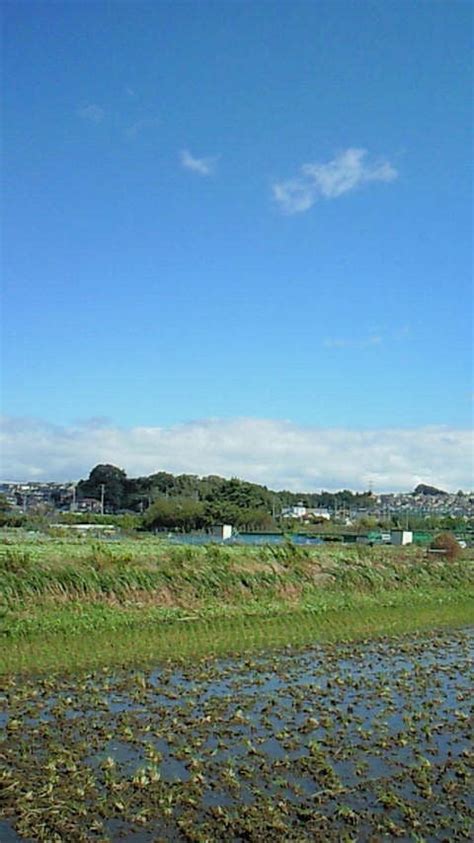 台風一過 matsuyastyle
