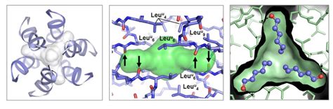 Molecular Recognition And Catalysis With Foldamers Guichard Research Lab