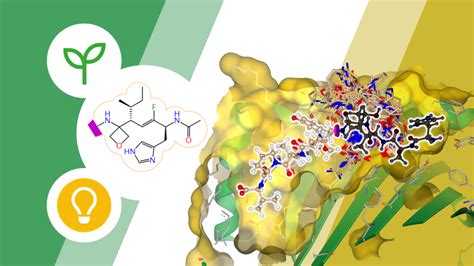 Peptide Design With New Fastgrow Sets • Biosolveit