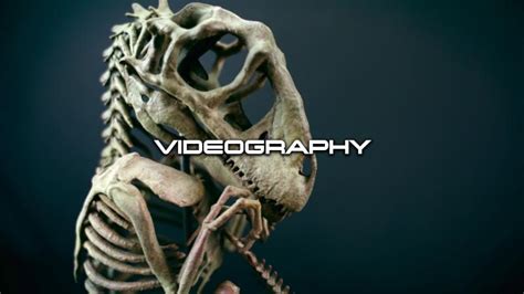 Mike Driessen On Linkedin Motusmedia