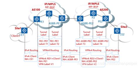 Mpls Virtual Private Network 跨域方案实现原理virtual Private Network实现方式 Csdn博客