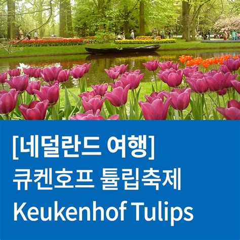 암스테르담 튤립 축제 꽃의 나라 네덜란드에서 즐기는 꽃 축제 네이버 블로그