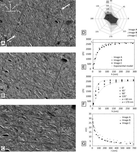 Tem Images At Different Magnification Corrseponding To Field Of View Of Download Scientific