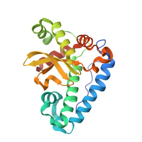 Rcsb Pdb W W Crystal Structure Of A Mutant Staphylococcus Equorum Manganese Superoxide