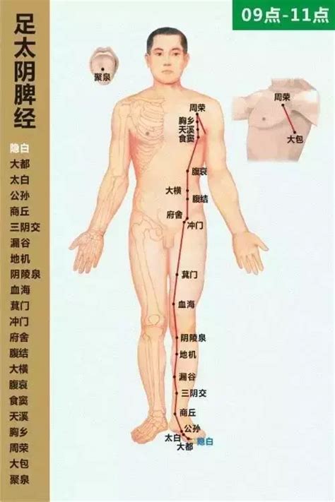 经络高清动图，所有穴位都有！再也不怕找不到穴位了！ 知乎