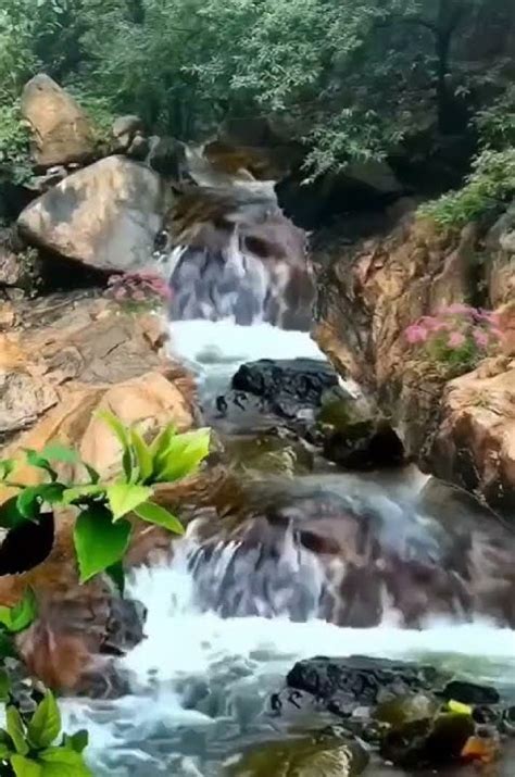 산속의 아름다운 새소리와 시원한 물소리를 즐감해 보세요 ~♡♡♡ Youtube