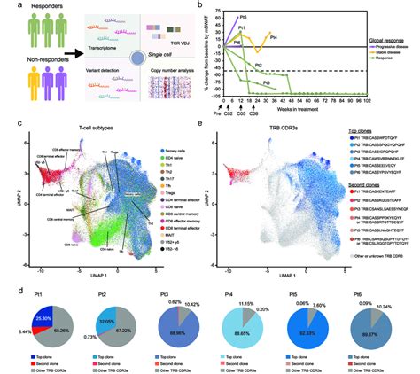 experiment schematic and clustering of cells a experiment schematic