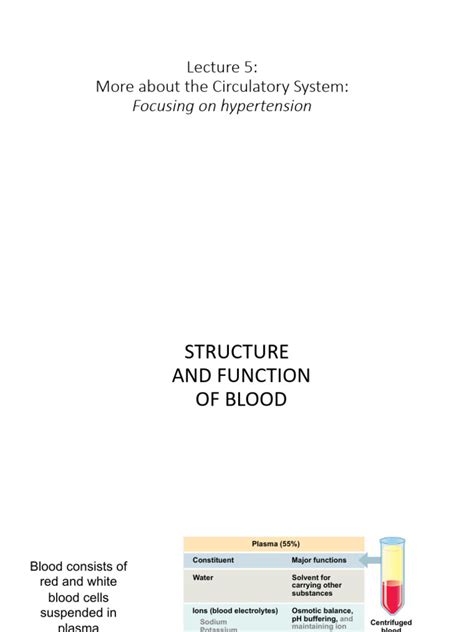 Lecture 5circulatory System Contd Pdf