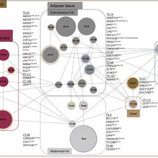 A Super Network Of CAD Causal Modules Download Scientific Diagram